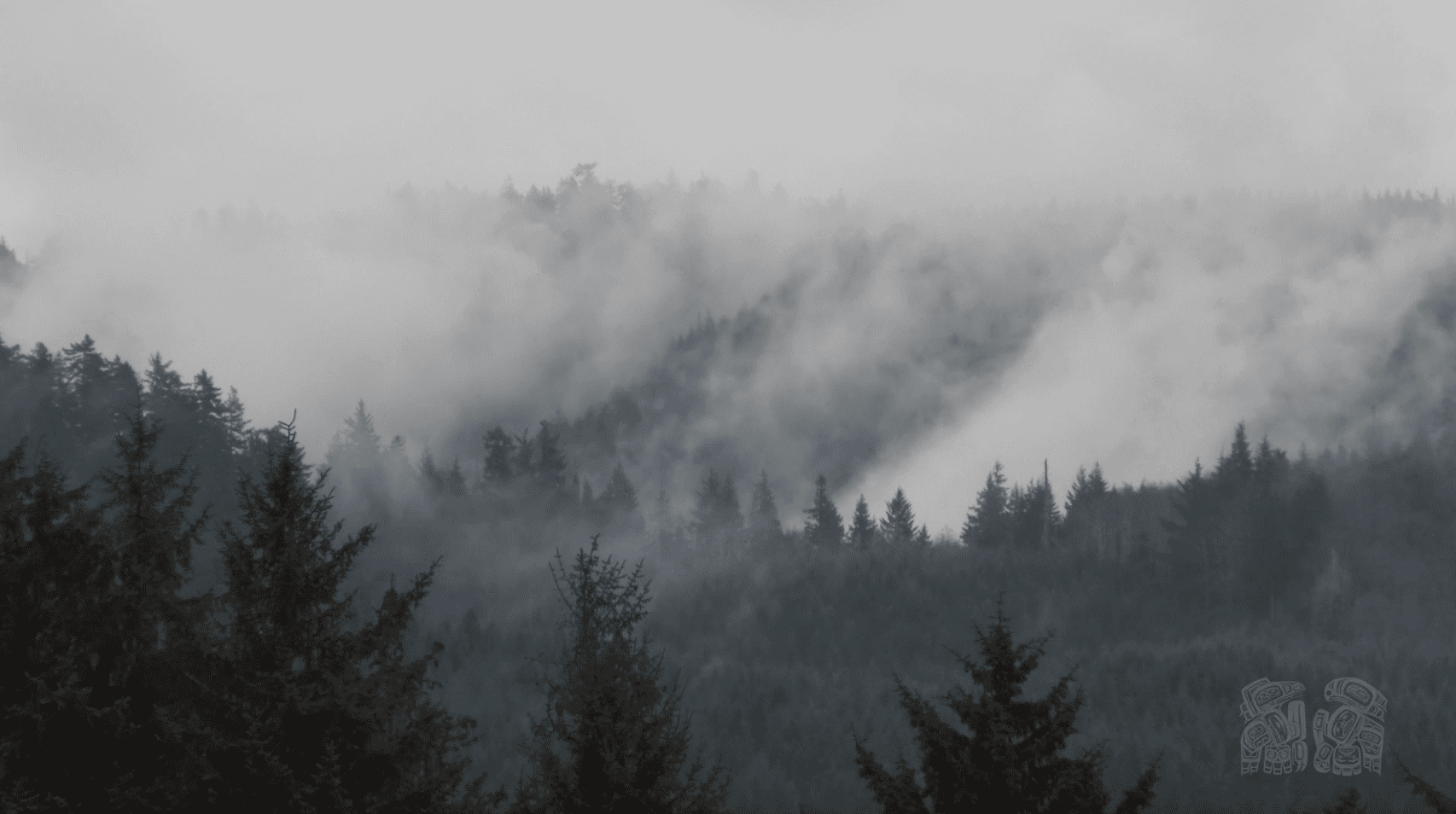 Public Comment Needed - Tlingit & Haida